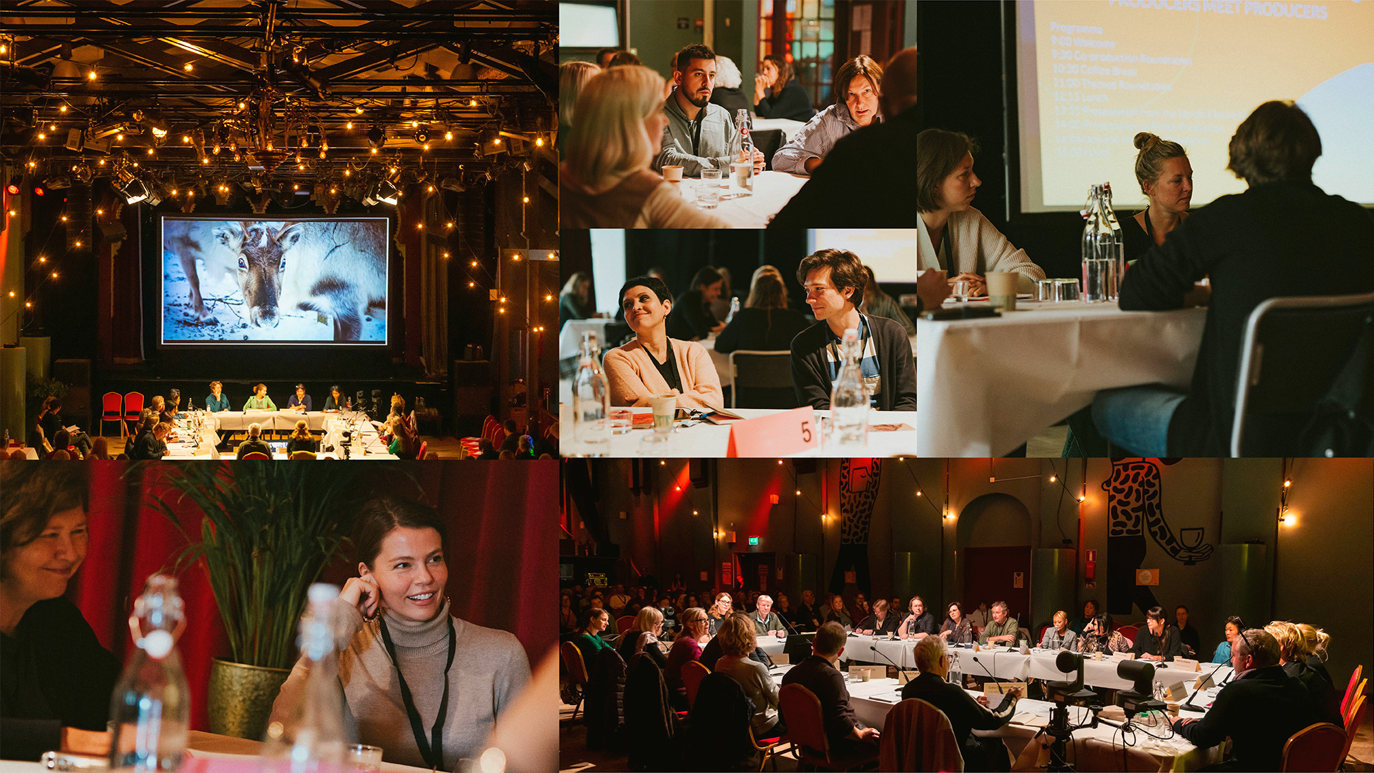 NP Forum Project Application - Nordisk Panorama